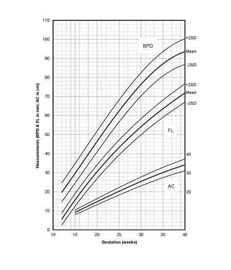 Fetal Biometry Hkog Info