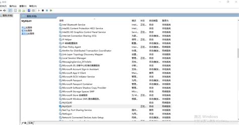 mysql workbench出现 could not connect server may not be running could not
