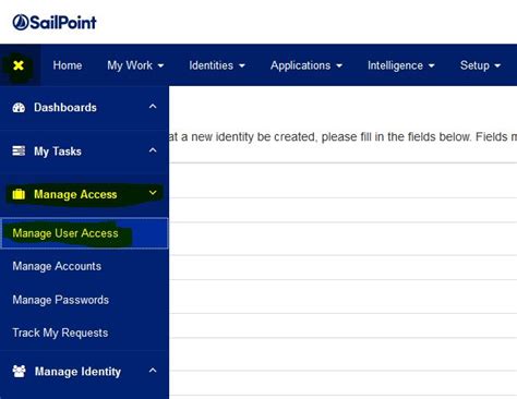 Sailpoint Tips And Tricks
