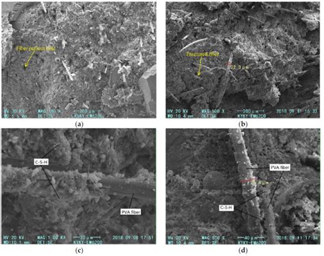 Pva Reinforced Cementitious Composite Microstructure A Without Ns