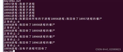 Unix C学习笔记12 回收子进程，wait，waitpid回收子进程、wait、waitpidunix Csdn博客