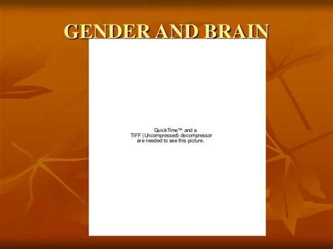 Ppt Gender And Brain Powerpoint Presentation Free Download Id2750348
