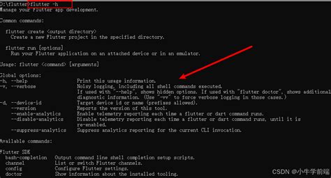 Flutter环境安装fluttersdk下载 Csdn博客