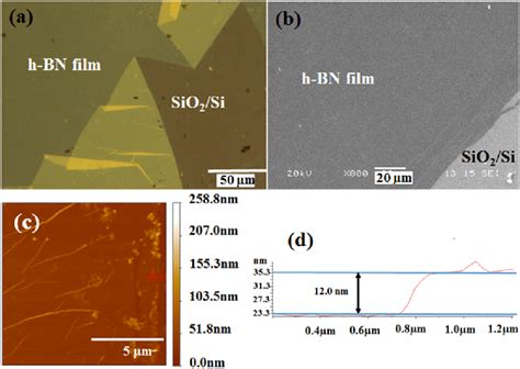 A Optical Micrograph Of The Transferred Bn Film On Sio 2 Si