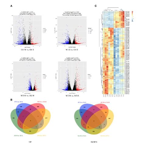 Transcriptome Analysis A Volcano Plot Red Dots Represent