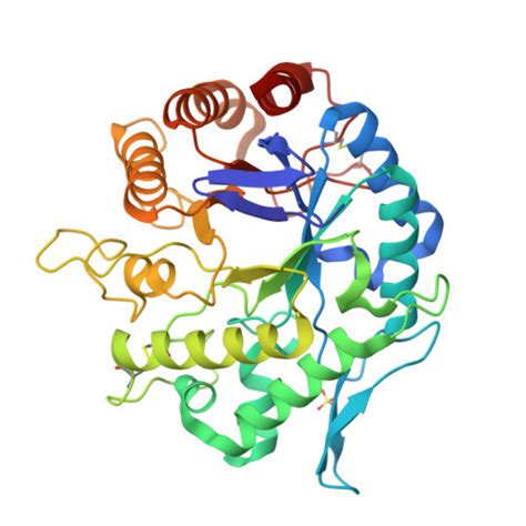 Rcsb Pdb 4qp0 Crystal Structure Analysis Of The Endo 14 Beta