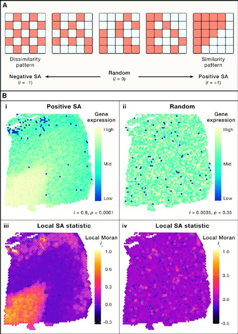Spatial Autocorrelation Highlights Regions Of Statistical Similarity In Download Scientific