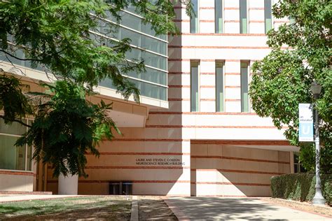 Neuroscientists Network Through Learning Memory Research At Ucla