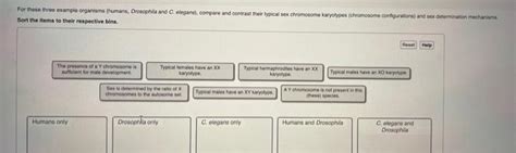 Solved For These Three Example Organisms Humans Drosophila