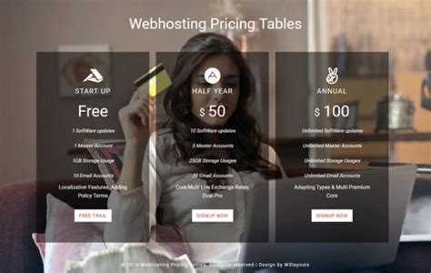 Web Hosting Pricing Table Flat Responsive Widget Template W3layouts