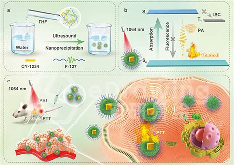 长沙可研易绘信息科技有限公司科研绘图期刊封面设计论文插图设计科学动画绘图培训