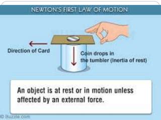 Newton Law Ppt PPT