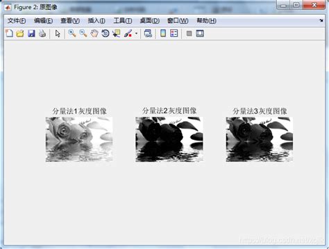 数字图像处理（五）图像灰度化处理 灰度处理图像 csdn博客