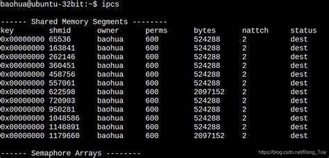 Linux四种共享内存技术（附源码）：systemv、posix Mmap、memfdcreate、dma Bufposix Dma Csdn博客