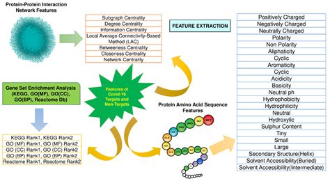 Ppin Features Protein Sequence Features And Gsea Ranking Features