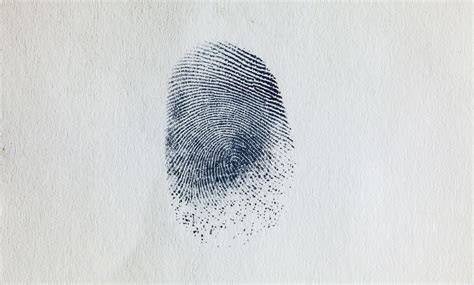 Can You Tell A Person S Gender Through Their Fingerprint Redorbit