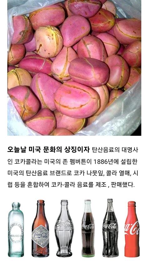 니들 콜라나무로 코카인 만드는거는 알고 펨코하냐 유머움짤이슈 에펨코리아