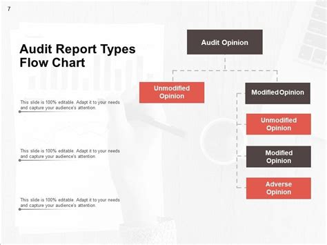 Audit Activity Report Management Information Ppt PowerPoint Presentation Complete Deck