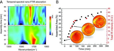 Temporally Resolved Assembly Process Of Sbpa Protein A Color Map Download Scientific Diagram