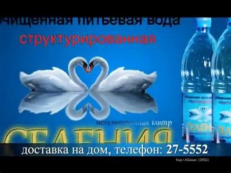 Реклама Бонаква Вива Музыка - bazaselection