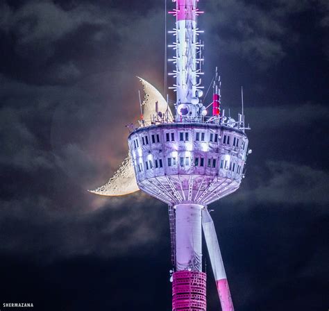 Bird Nest Tbilisi ჩიტის ბუდე Tbilisi