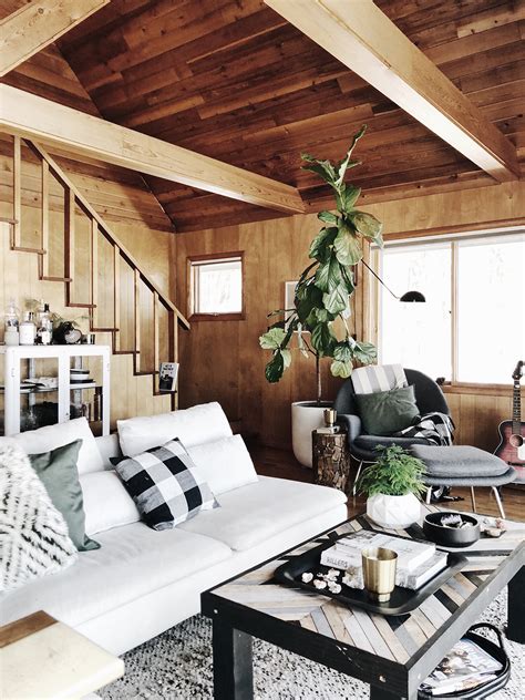 Pruning Your Fiddle Leaf Fig Deuce Cities Henhouse