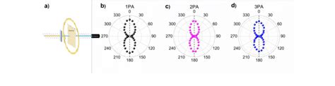 a schematic for measuring the pl polarization when the input