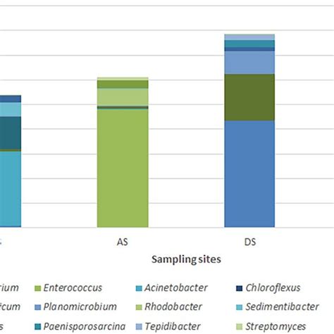 Picrust Based Functional Characterization Of Bacterial Communities