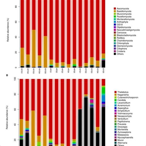 Figure The Abundance Of Dominant Fungal Phyla And Genera In The Gut