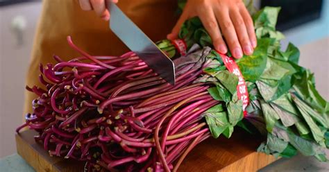 1200630webp1723272498