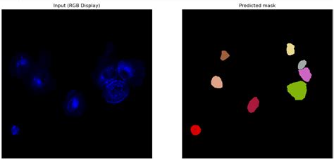 Announcing Instanseg A New Nucleus And Cell Segmentation Tool Page
