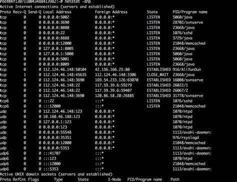 linux mkdir命令 Linux系统中的关键工具深度解析mkdir指令的基本设置与复杂运用 Linux命令大全 手册