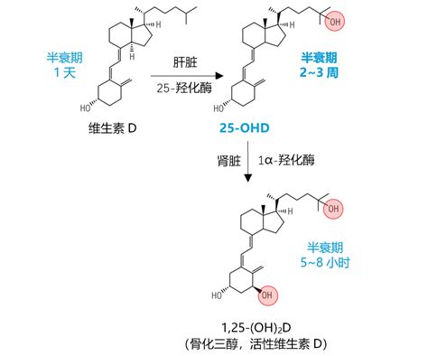 维生素d补多少、补哪种、多久复查?最新临床共识来了!补充治疗剂量 维生素d补多少、补哪种、多久复查?最新临床共识来了!补充治疗剂量