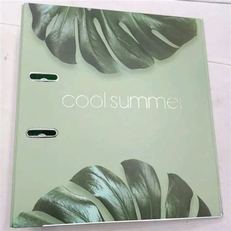 Cardboard Office Index Files B4 Multicolor At ₹ 100piece In New