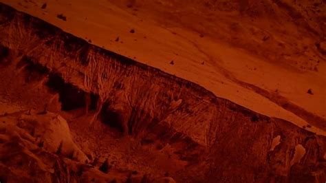 Devonian Fever Trip Labocine