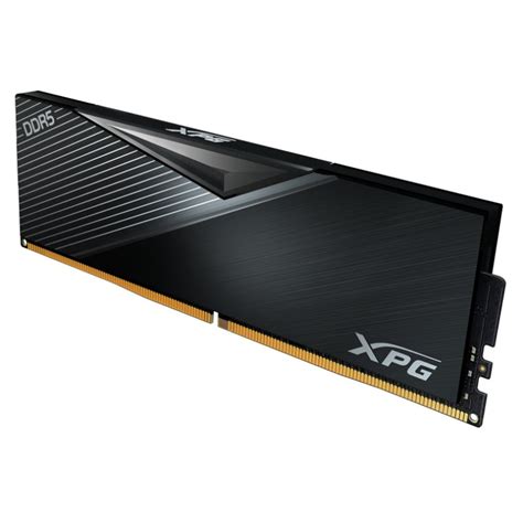 Adata Xpg Lancer Ddr5 5600mhz 16gb 1x16gb Cl36 Pccomponentes Pt