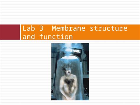 PPTX Lab Membrane Structure And Function DOKUMEN TIPS