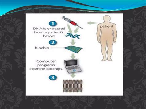 The Biochip Technology Pptx