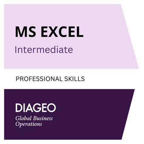 Ms Excel Intermediate Credly