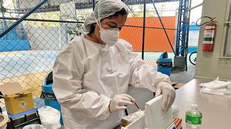 Governo Do Estado Inicia Coletas Do Inquérito Sorológico Escolar