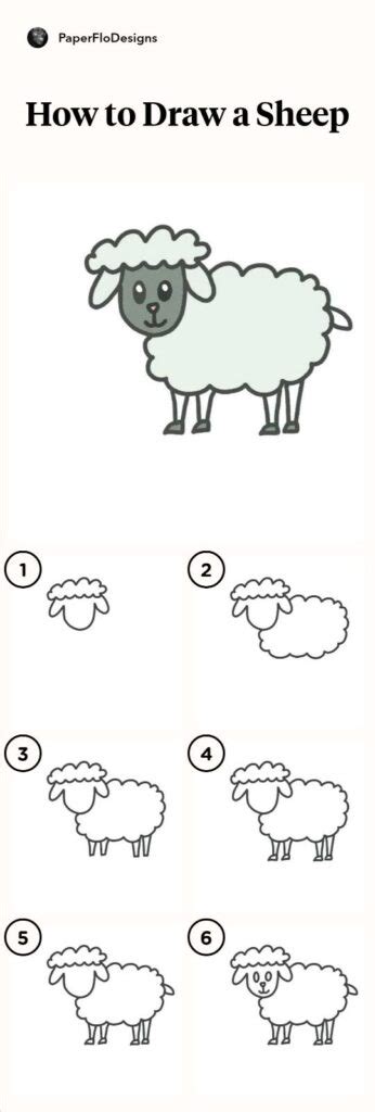 How To Draw A Sheep Step By Step
