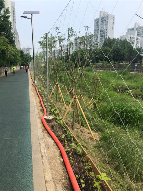 점적 관개 네이버 블로그