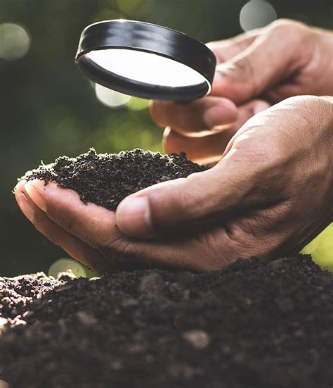 Soil Testing And Analysis Anand Biochem Nabl Certified Lab