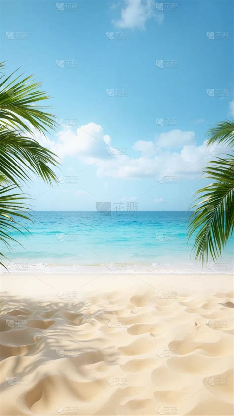 风光系列实景感沙滩蓝天白云植物展台素材 花瓣网