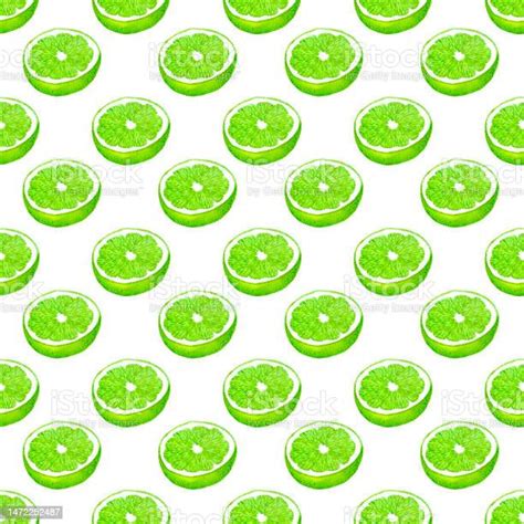 흰색 배경에 손으로 그린 수채화 라임 매끄러운 패턴 스크랩북 엽서 섬유 직물 0명에 대한 스톡 벡터 아트 및 기타 이미지 0명 감귤류 과일 개체 그룹 Istock