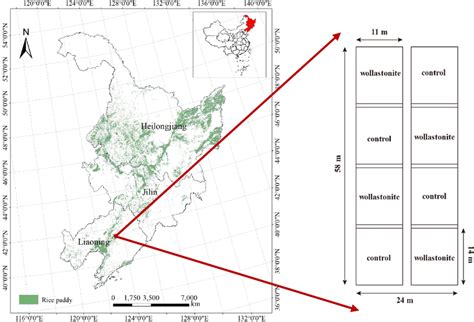 Location Of The Experimental Site And Experimental Plot Layout Download Scientific Diagram