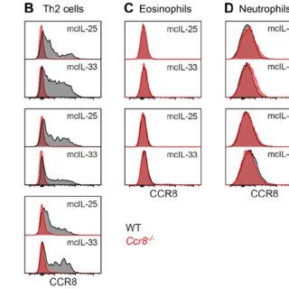 Nomenclature Of The Cc Type Chemokine Receptors Ccr4 And Ccr8 And Their