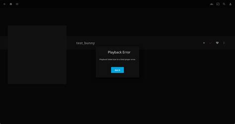 Electric Eel Jellyfin Ffmpeg Playback Error Due To Permissions