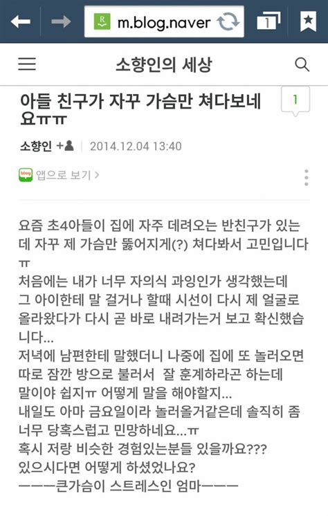 ㅇㅎ아님 친구엄마 가슴을 자꾸 쳐다보던 소년 유머움짤이슈 에펨코리아
