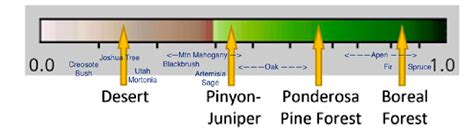 Solved 0 Joshua Tree Creosote Bush Utah Mortonia